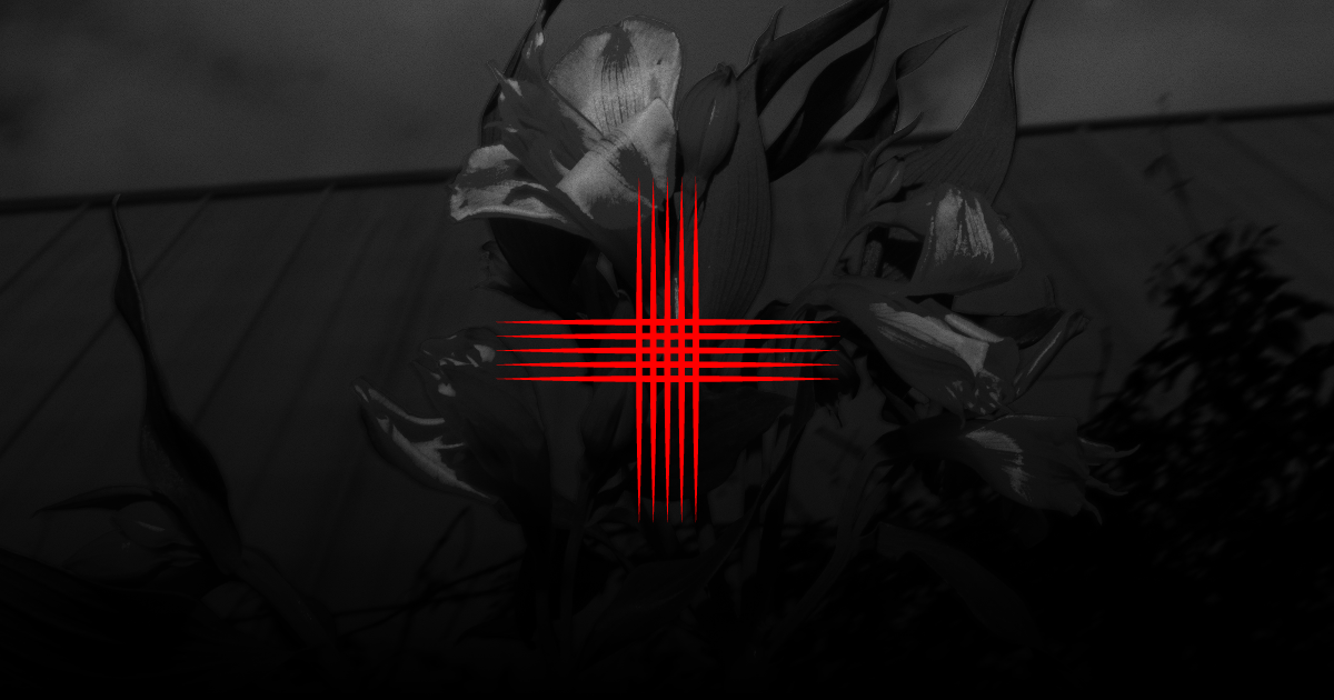 Asahi Night Garden | Program | Dark Mofo